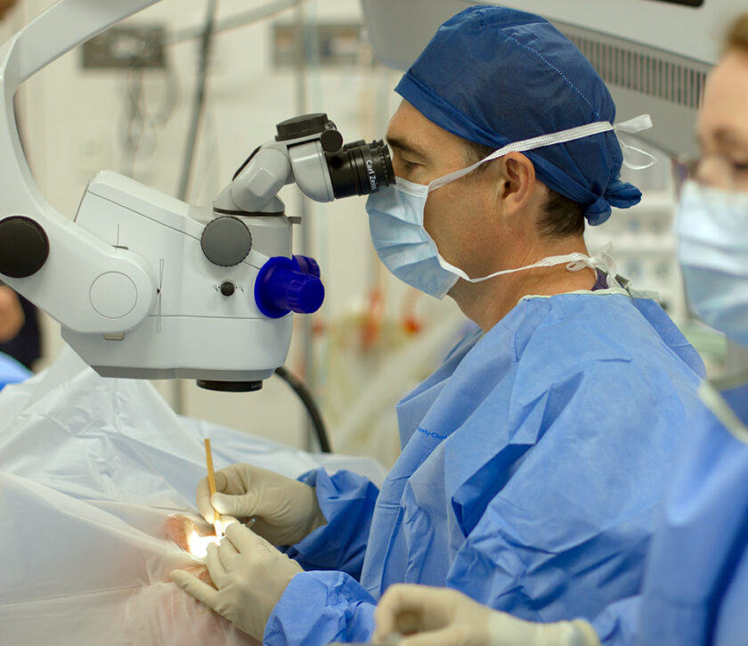 Choose Hunter Street Eye Specialists - they care about eyes